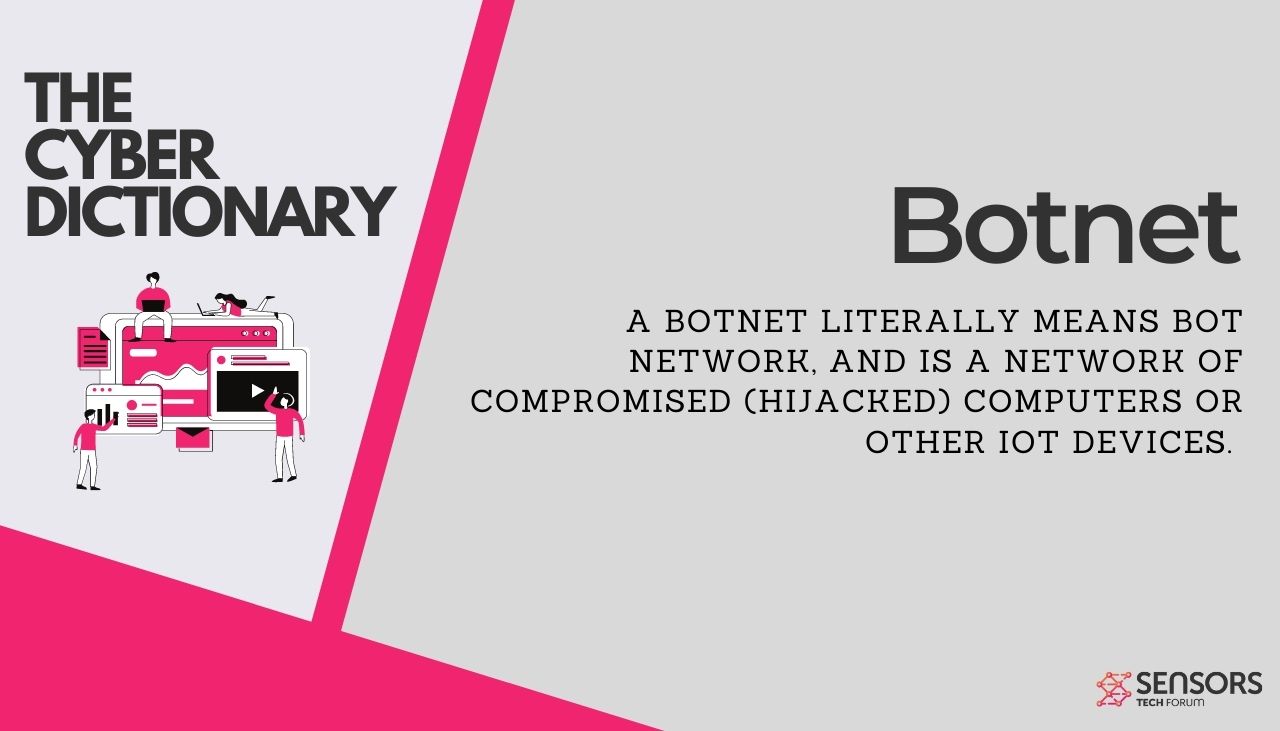 What Is a Botnet?