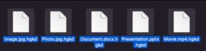 HGKD Virus [.hgkd Files] Decrypt + Remove [5 Minute Guide]