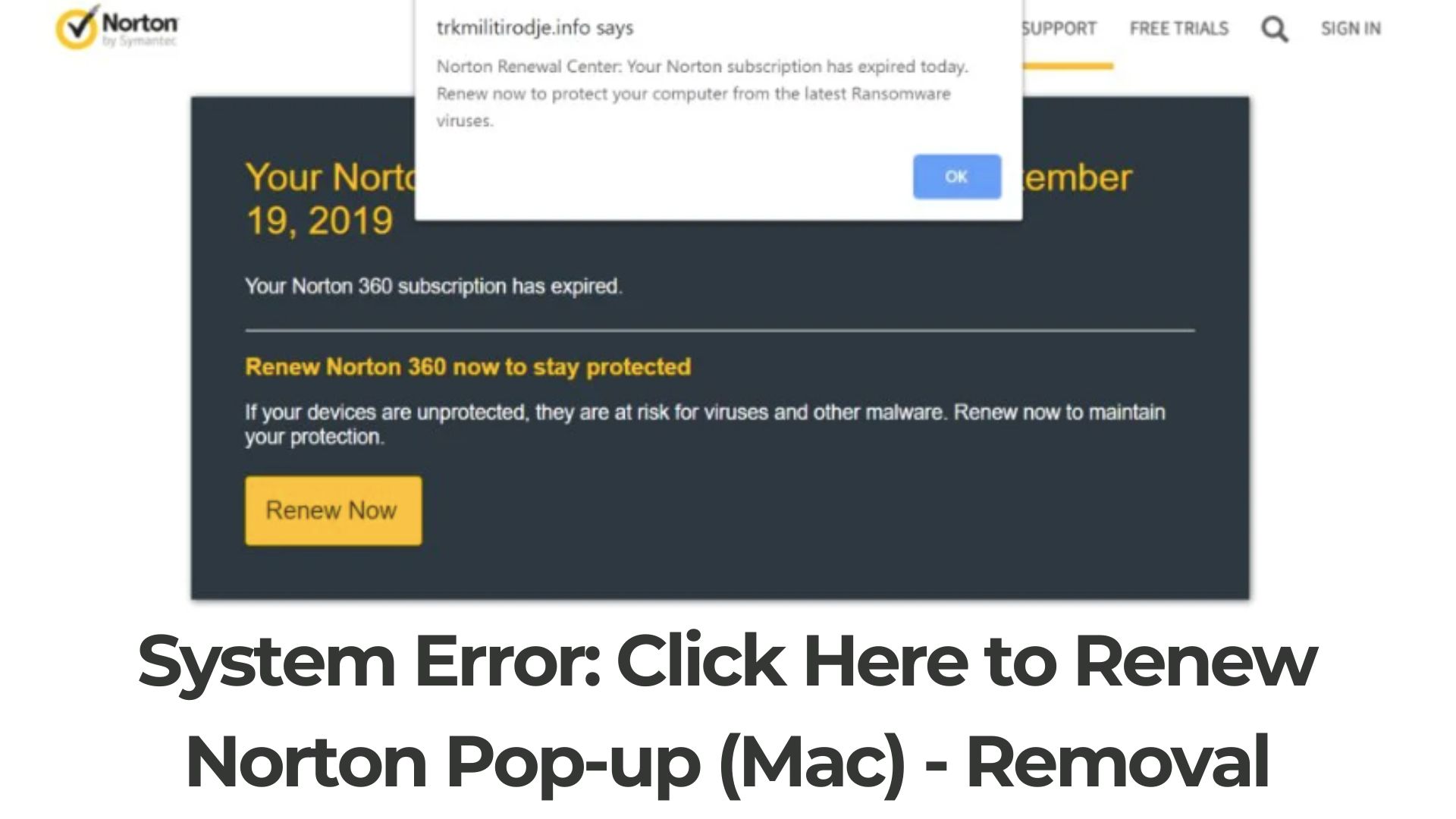 System Error: Click Here to Renew Norton Pop-up Mac Removal