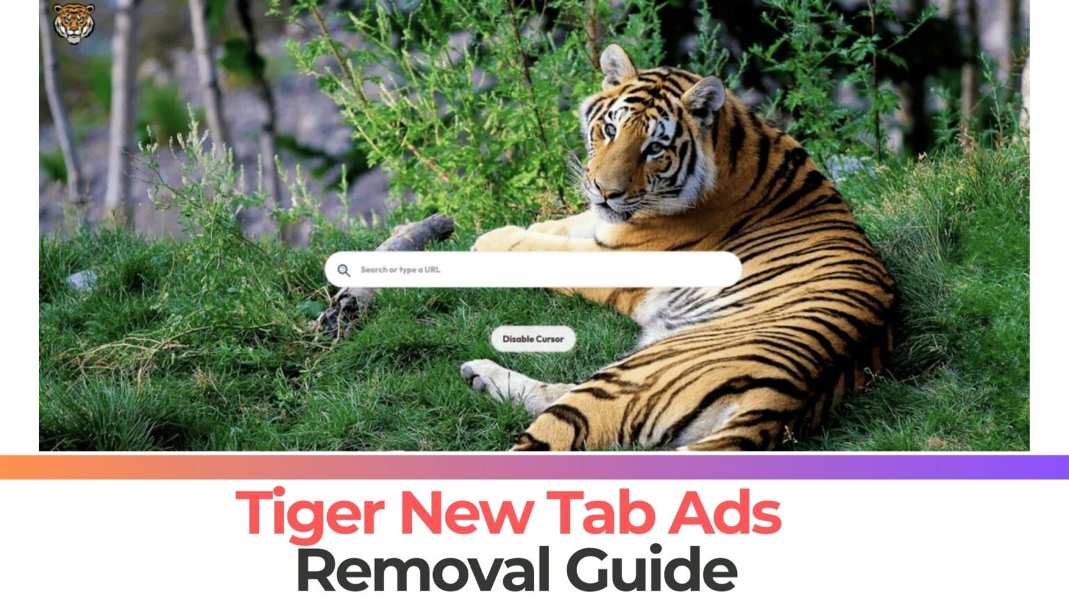 Tiger New Tab Extension Virus Removal Guide [5 Min]