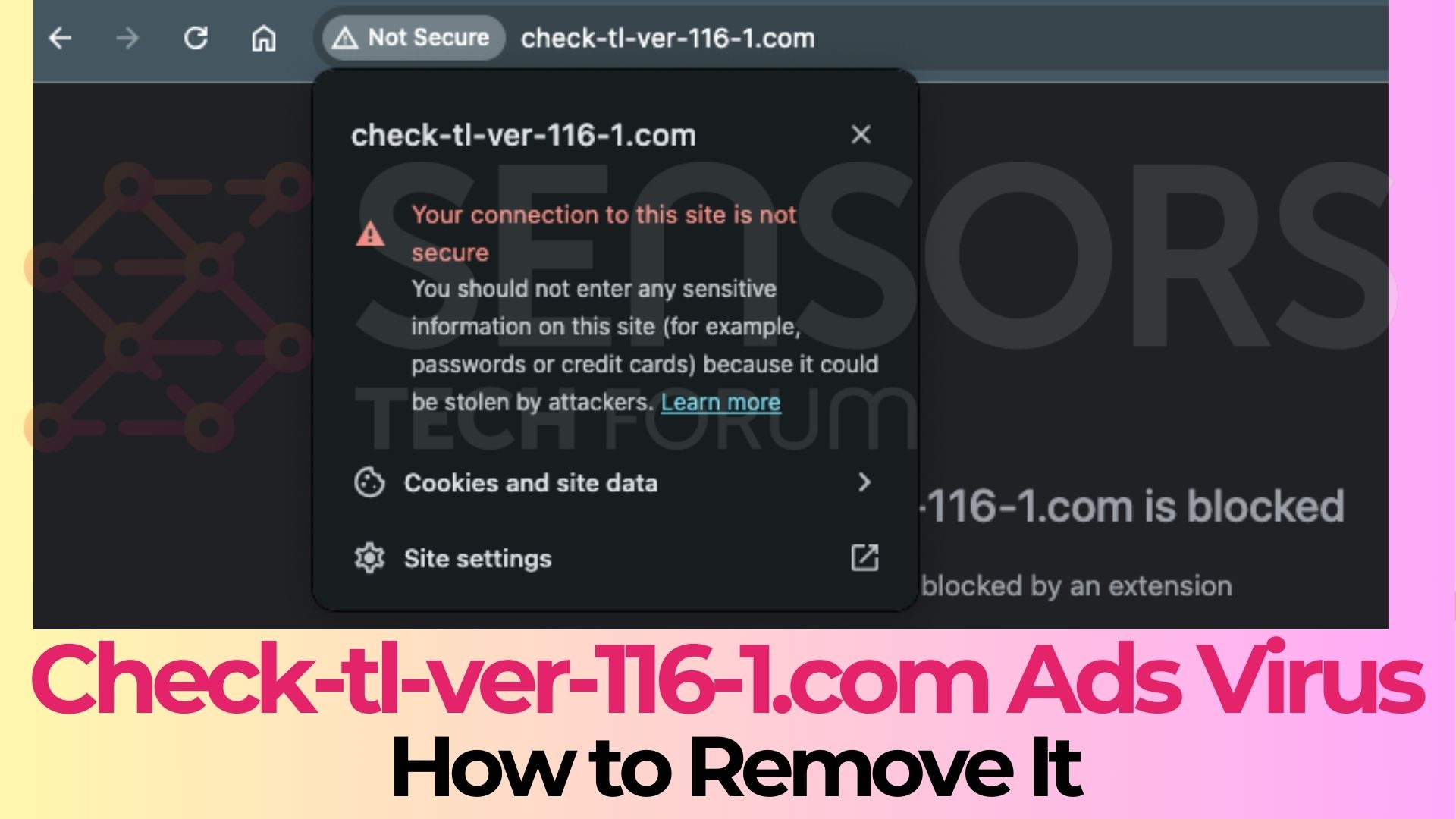 Check-tl-ver-116-1.com Pop-up-Benachrichtigungen entfernen [Malware]