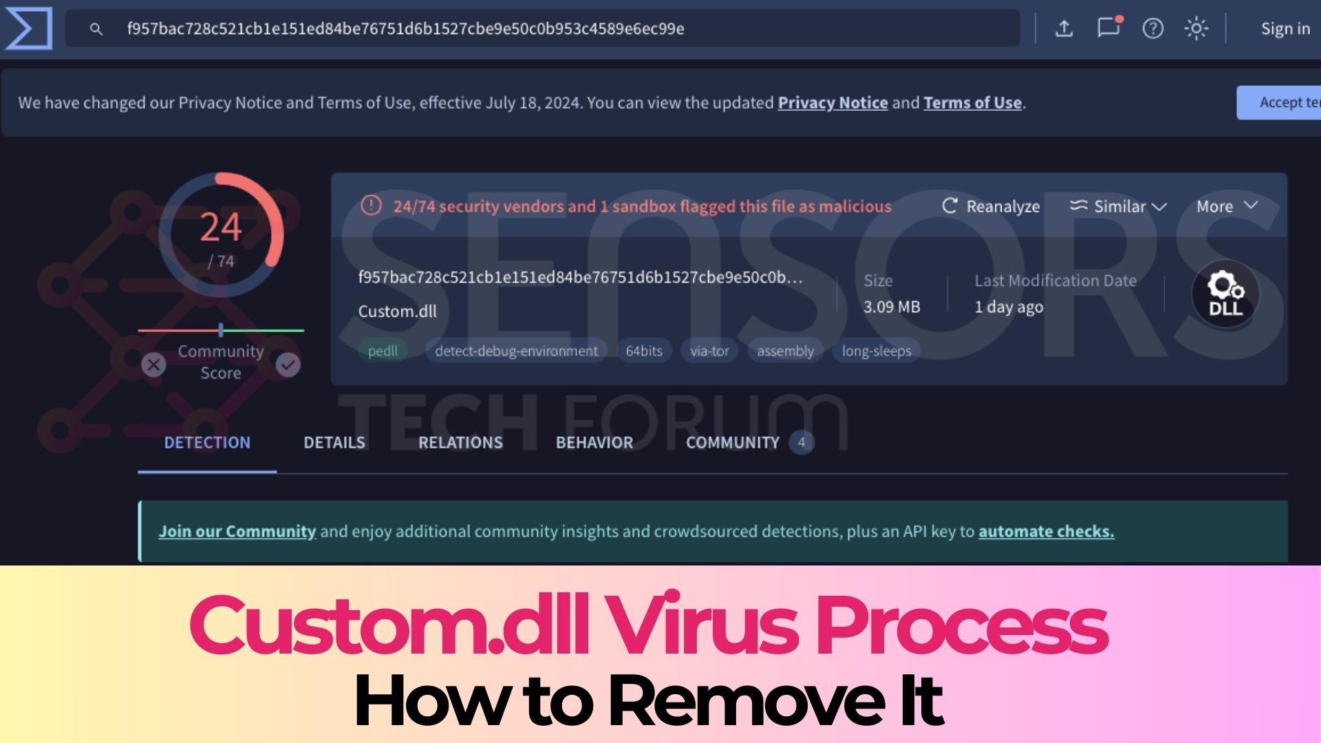 Custom.dll Virus Process - How to Remove It [Solved]