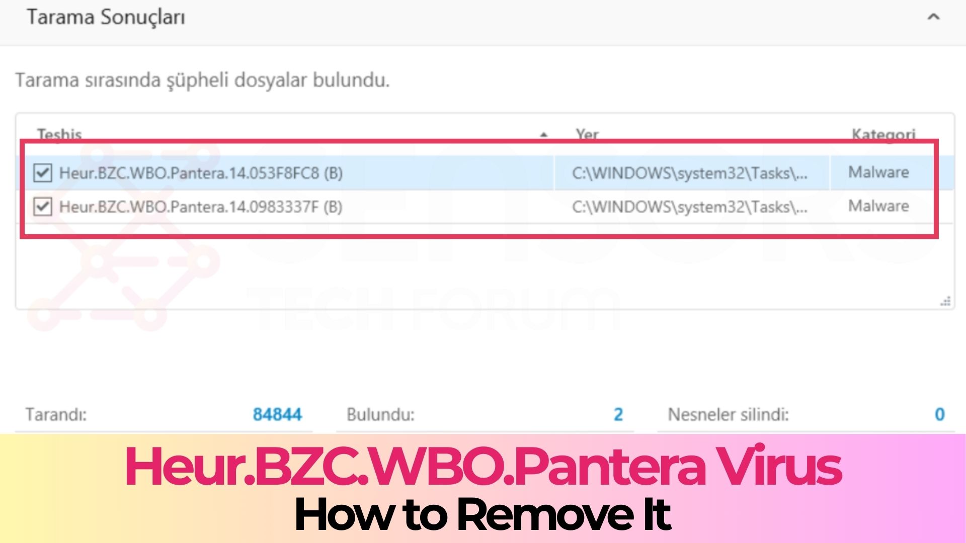 Heur.BZC.ONG.Pantera Virus Detection - How to Remove It