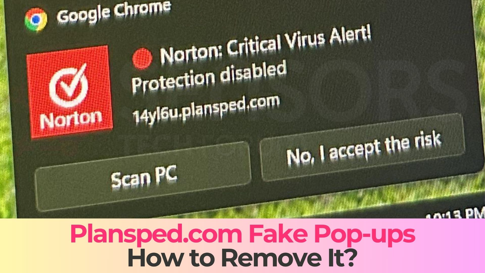 Pop-ups Norton de Plansped.com - Comment faire pour supprimer ce
